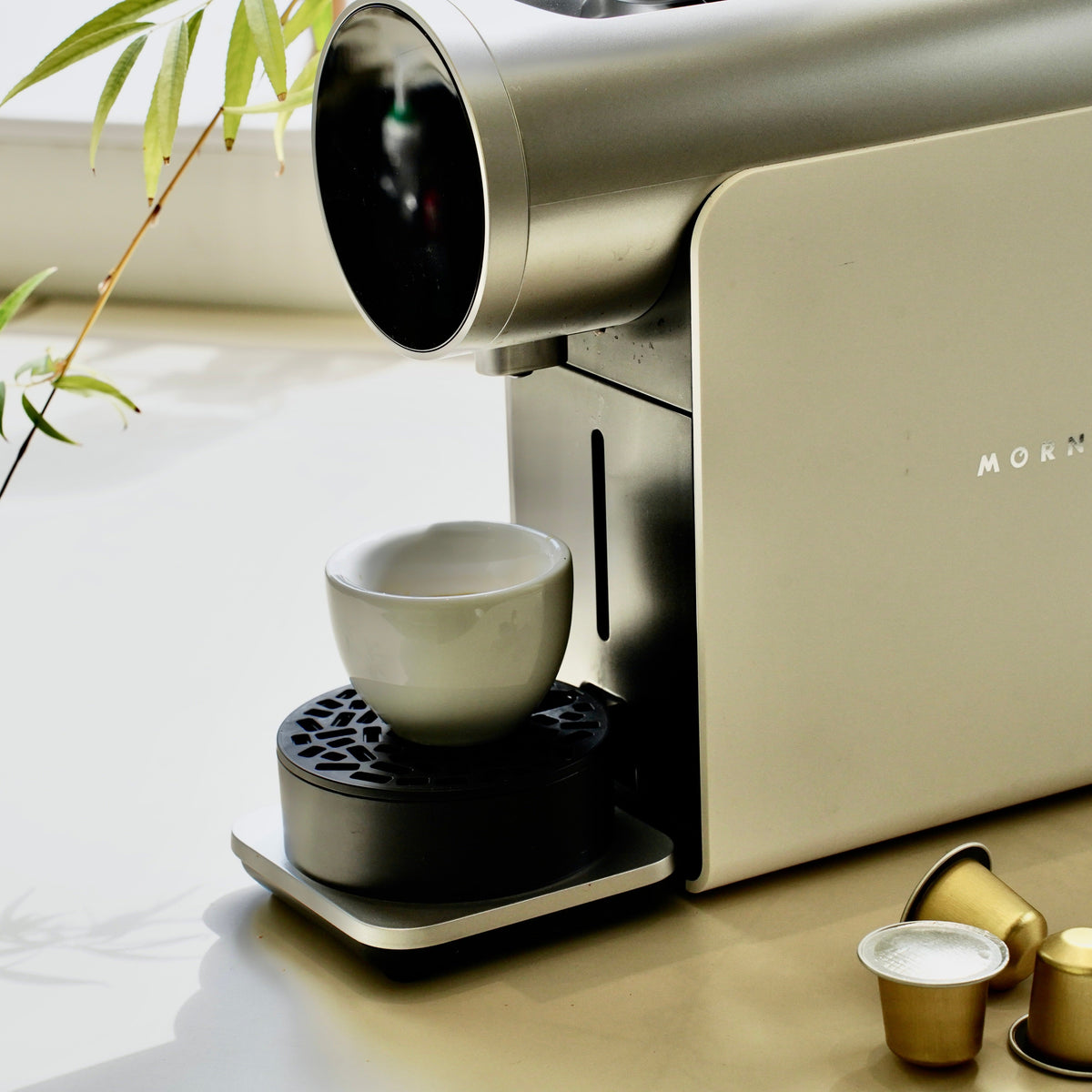 Es Chocolat Coffee Capsules – Momos Coffee | MORNING – Morning United ...