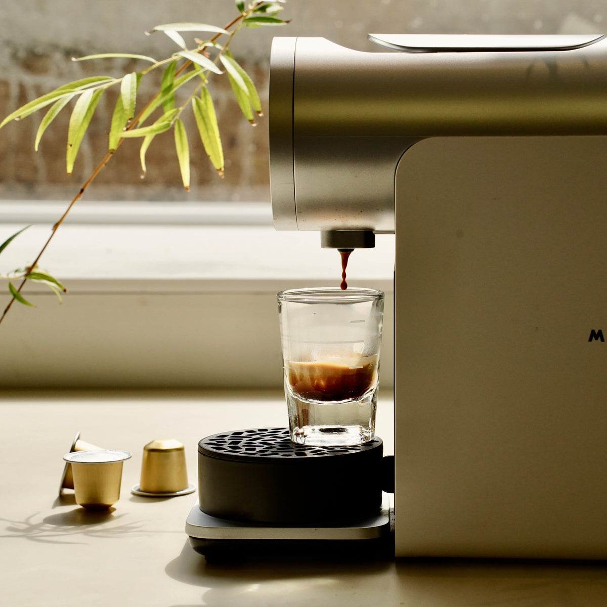 Es Chocolat Coffee Capsules – Momos Coffee | MORNING – Morning United ...