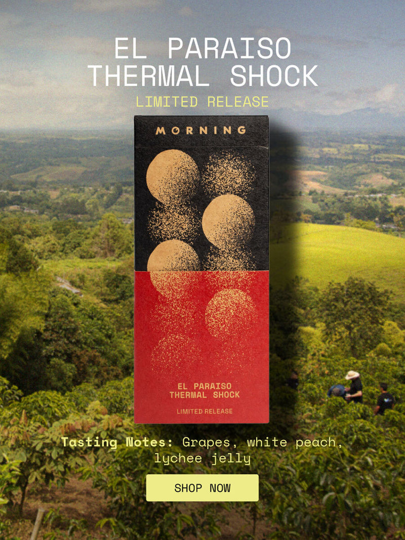 Morning – Morning United Kingdom