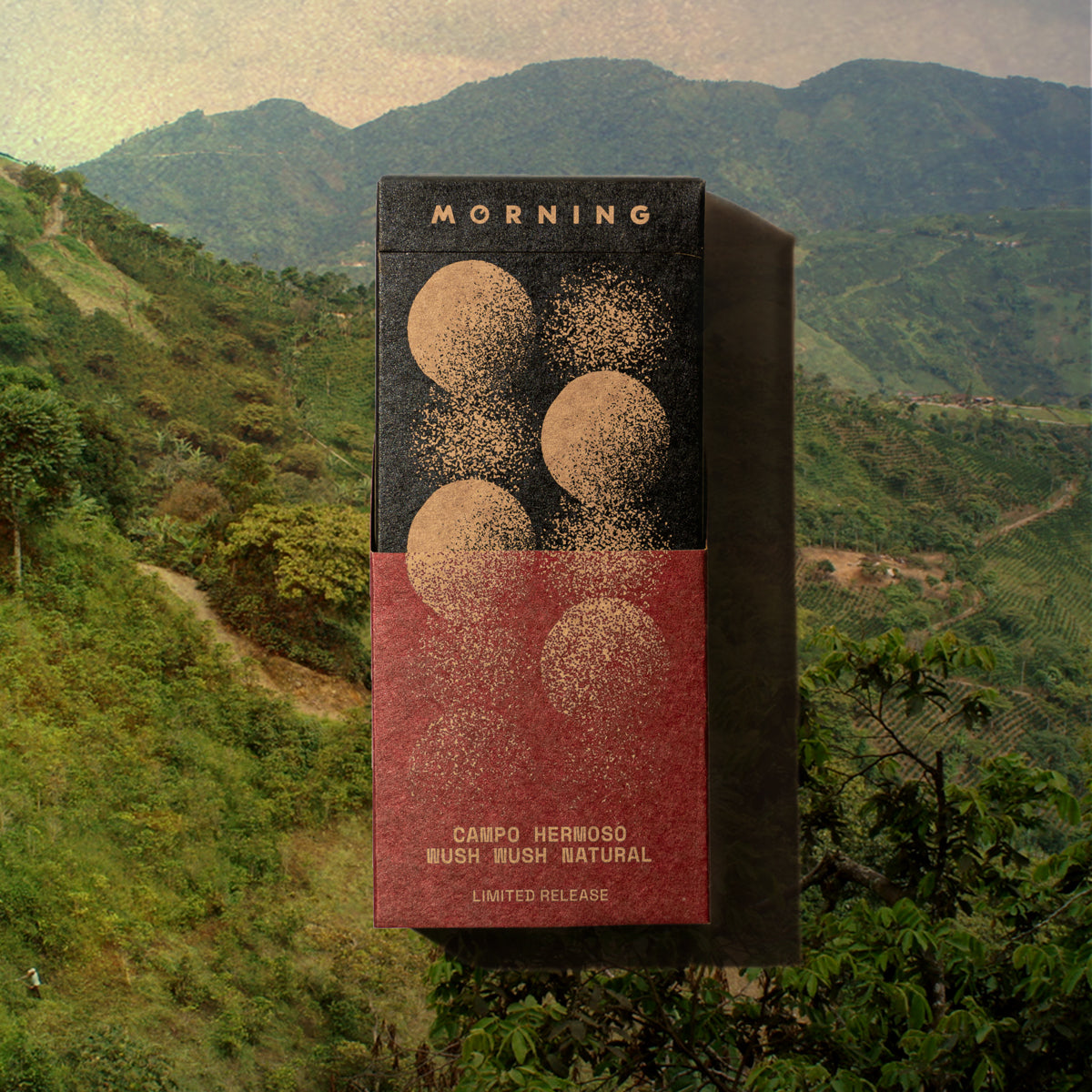 Morning – Morning United Kingdom